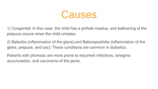 58- Phimosis and paraphimosis by Gurpreet.pptx