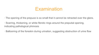 58- Phimosis and paraphimosis by Gurpreet.pptx
