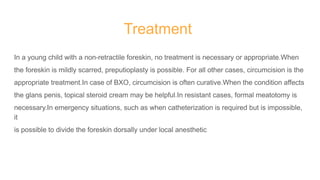 58- Phimosis and paraphimosis by Gurpreet.pptx