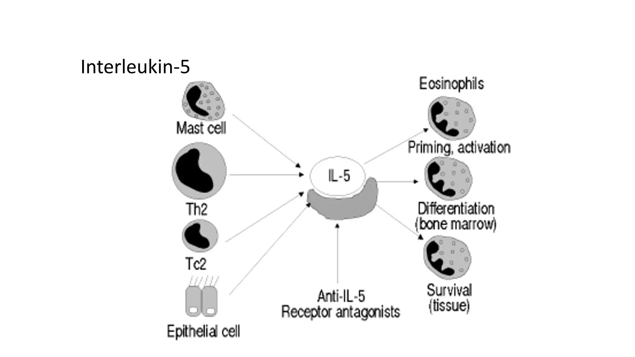 580003629-Sitokin-pada manusia dan fungsinya.pdf