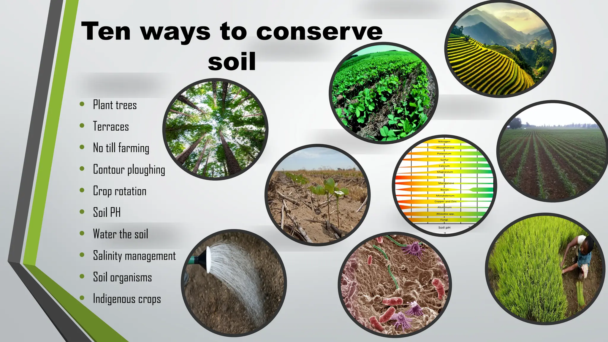 580457169-SOIL-CONSERVATION in the Phil.-ppt.pptx
