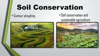580457169-SOIL-CONSERVATION in the Phil.-ppt.pptx