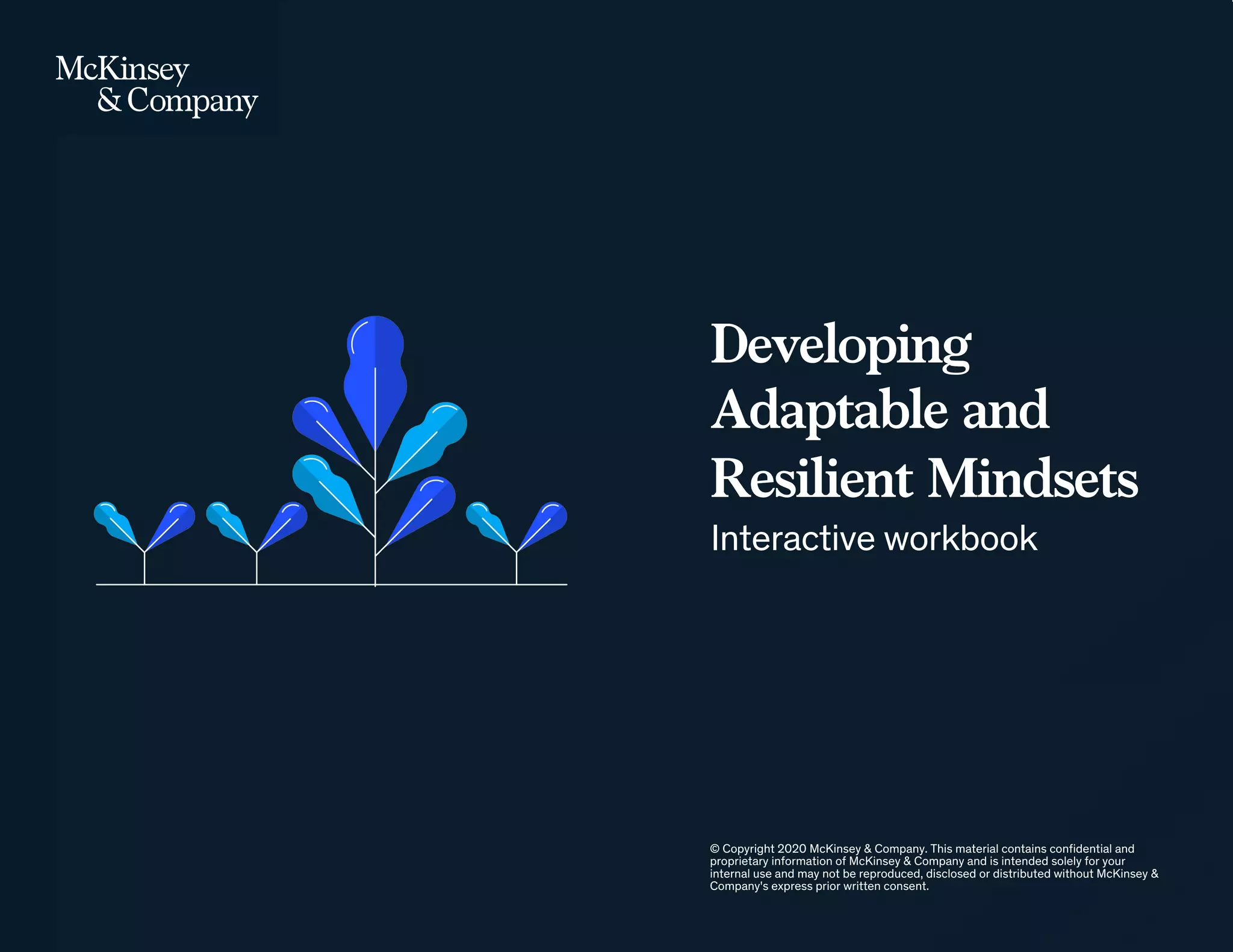 580827962-Mckinsey-Training-1-18.pdf