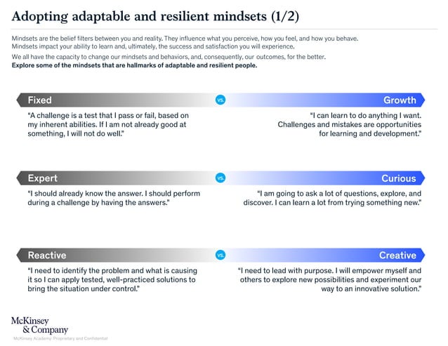 580827962-Mckinsey-Training-1-18.pdf | Business | Business and Finance