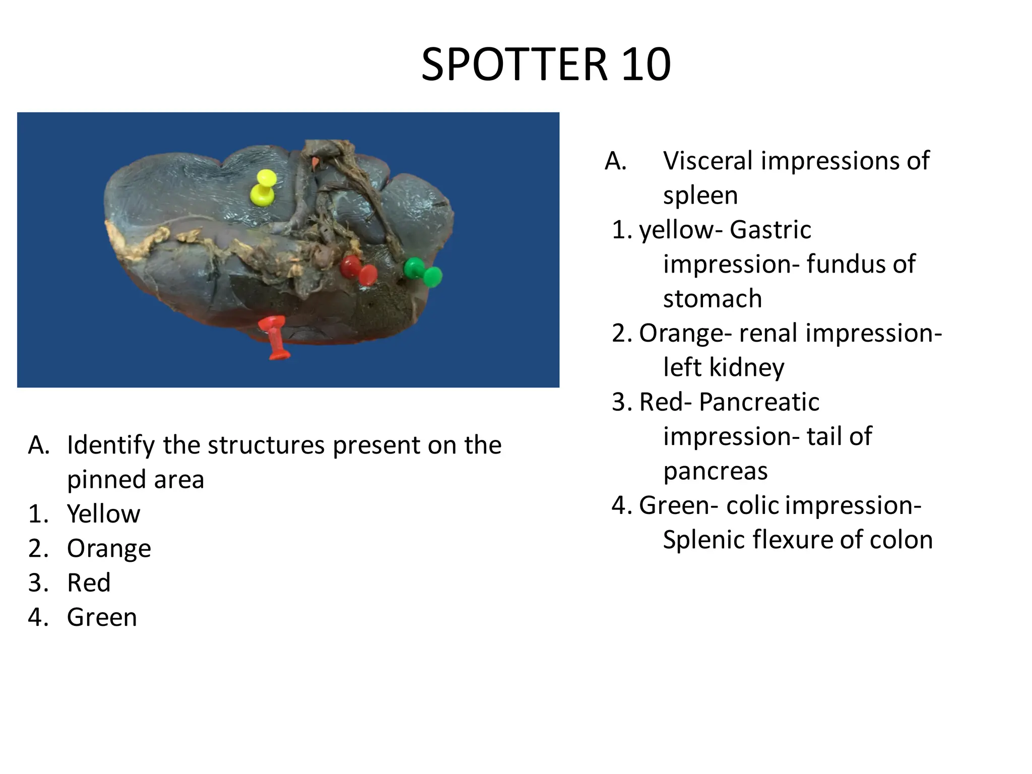 581732808-Gross-Spotters-Abdomen-Pelvis-Dr-kalpana.pdf