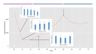 Sea Urchin YAP ppt | PPTX | Biological Sciences | Science