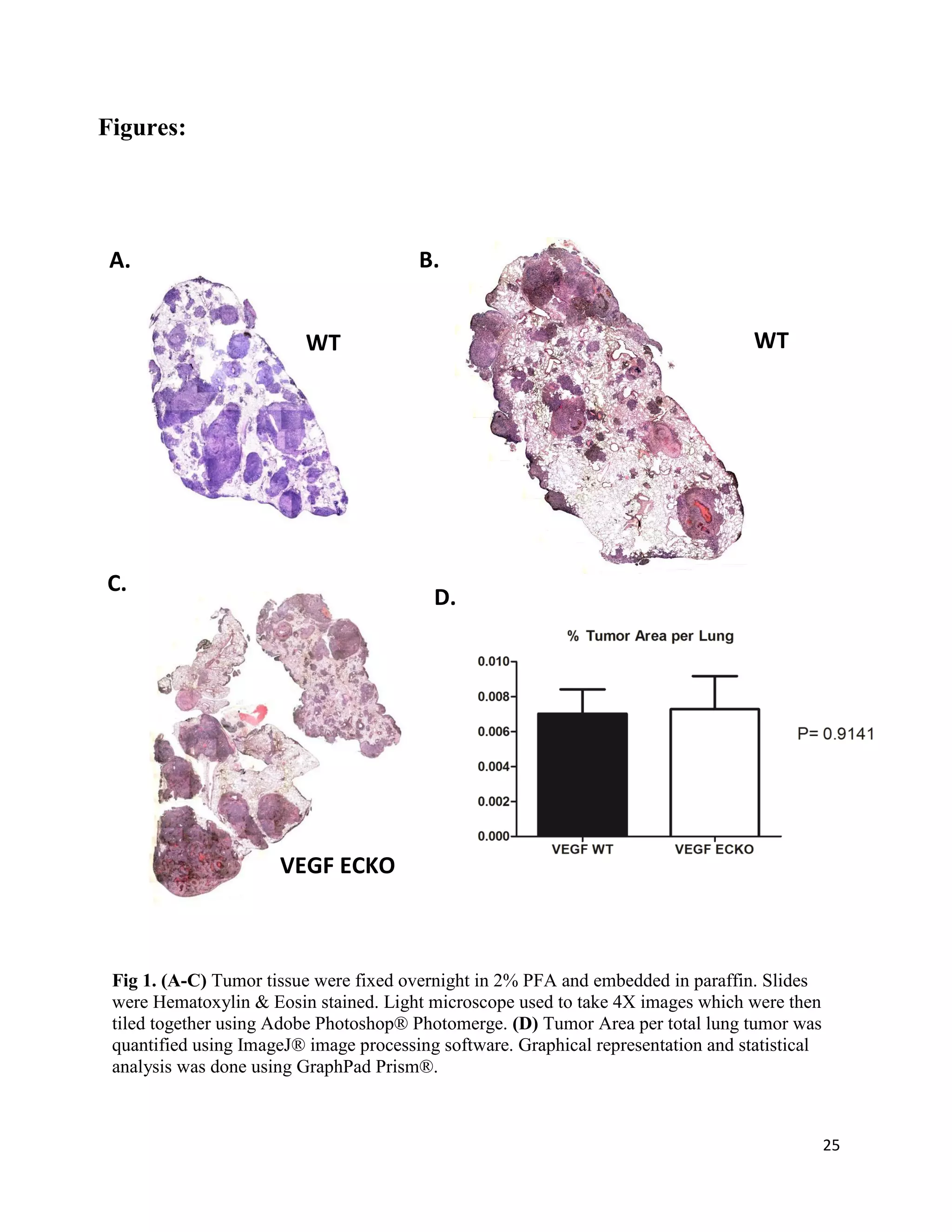 Thesis figures final | PDF