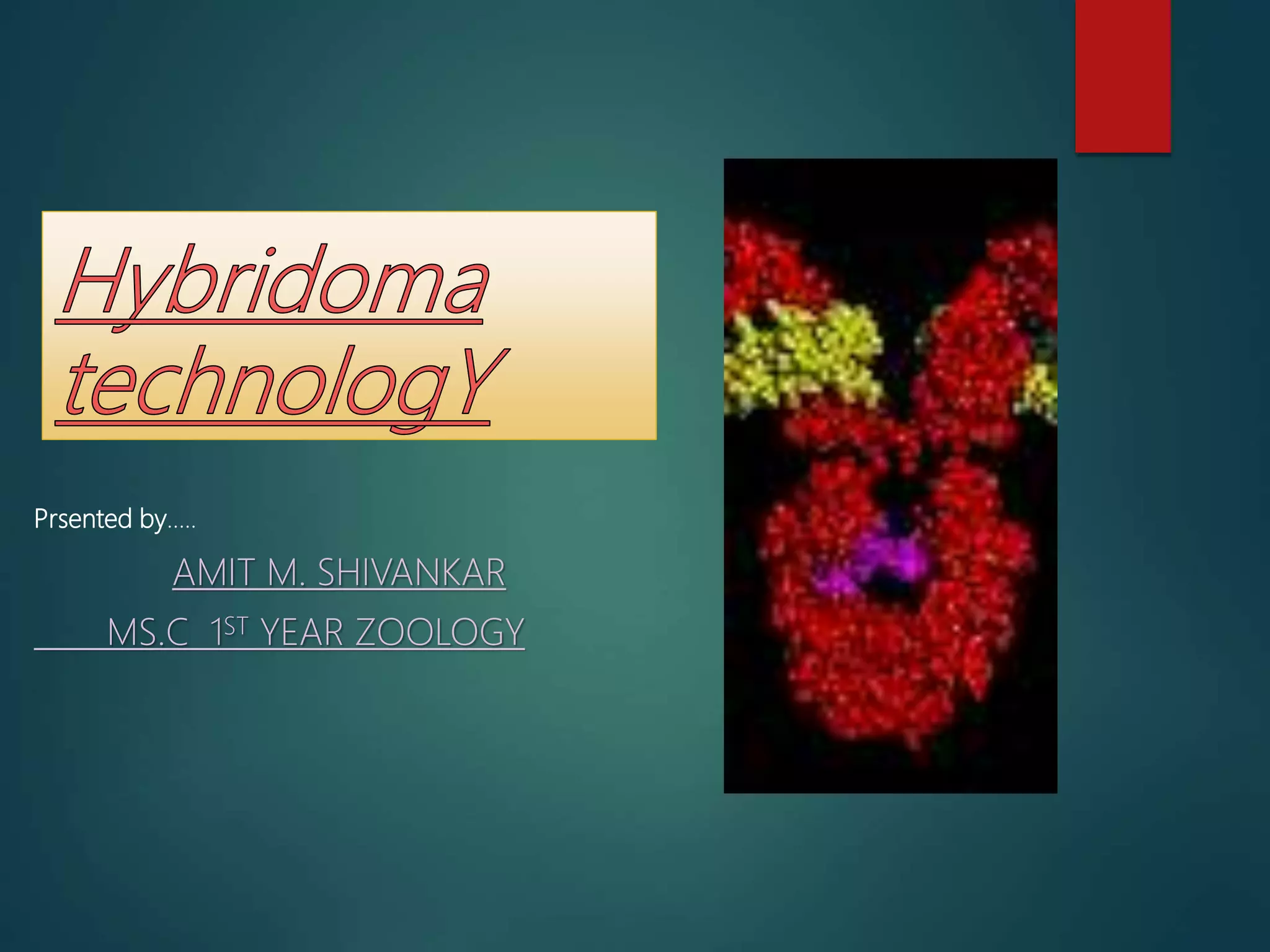 58361240 production-of-monoclonal-antibo (1) | PPT