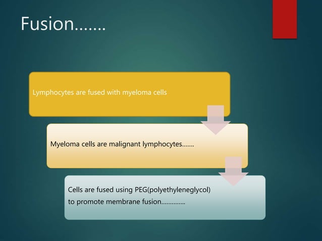 58361240 production-of-monoclonal-antibo (1) | PPT