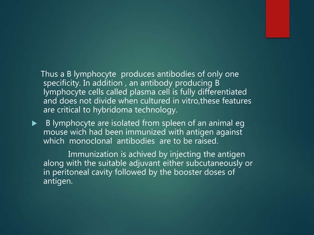 58361240 production-of-monoclonal-antibo (1) | PPT
