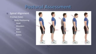 Postural Analysis | PPTX