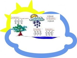 Weather cycle | PPT