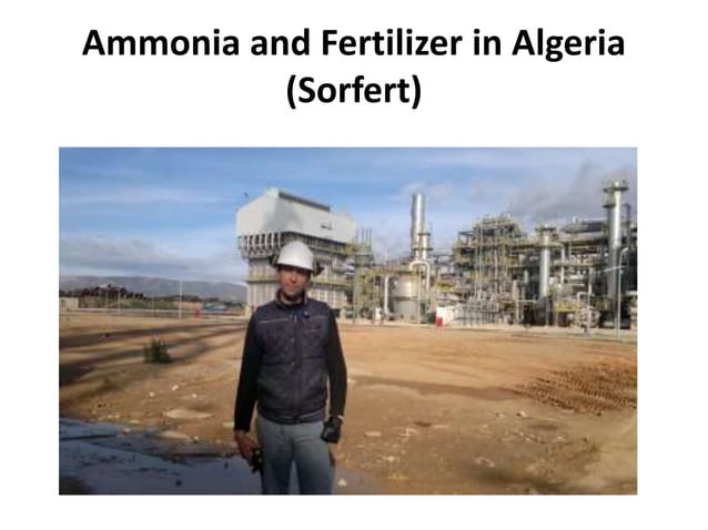 Ammonia and Fertilizer in Algeria (Sorfert) | PPTX
