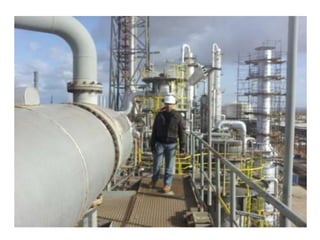 Ammonia and Fertilizer in Algeria (Sorfert) | PPTX