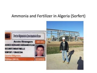Ammonia and Fertilizer in Algeria (Sorfert) | PPTX