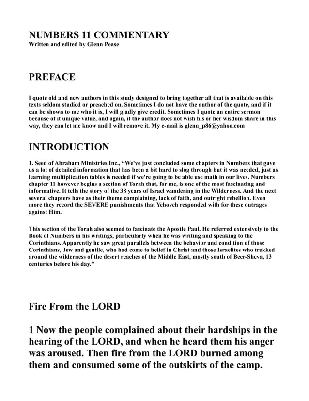 58580036 numbers-11-commentary | PDF