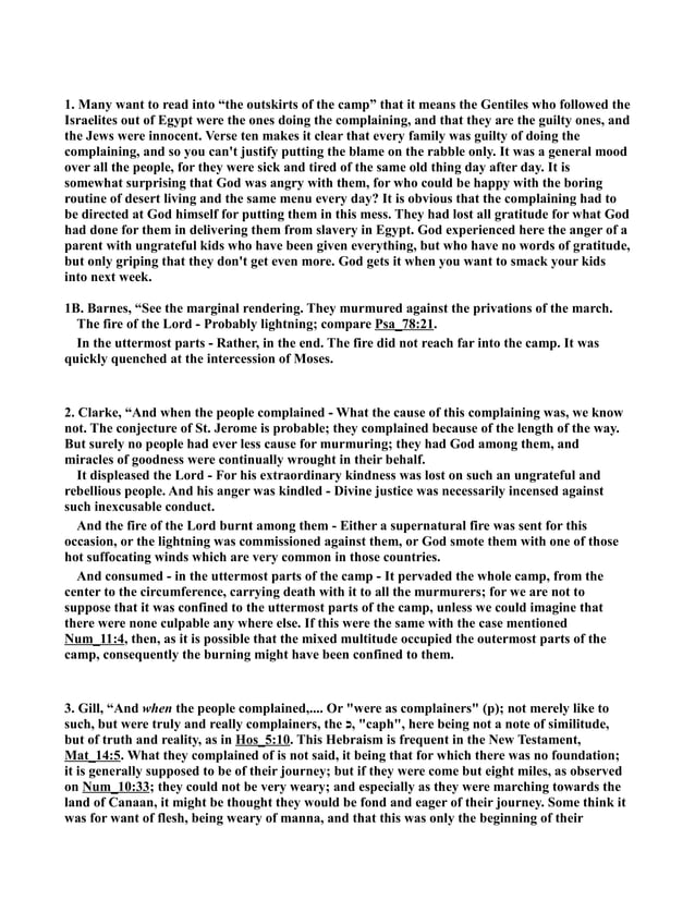 58580036 numbers-11-commentary | PDF