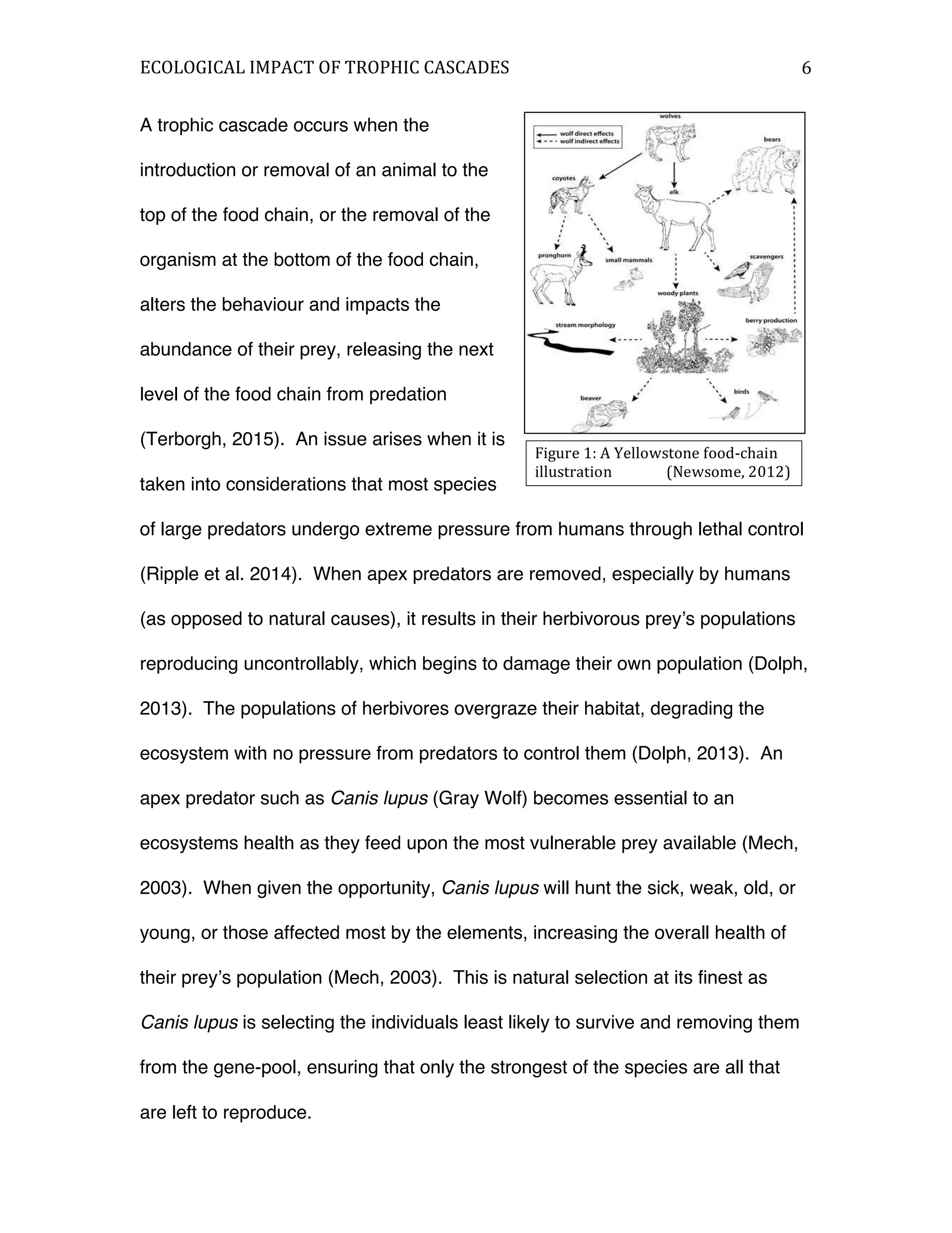 The Effects of Trophic Cascades | PDF