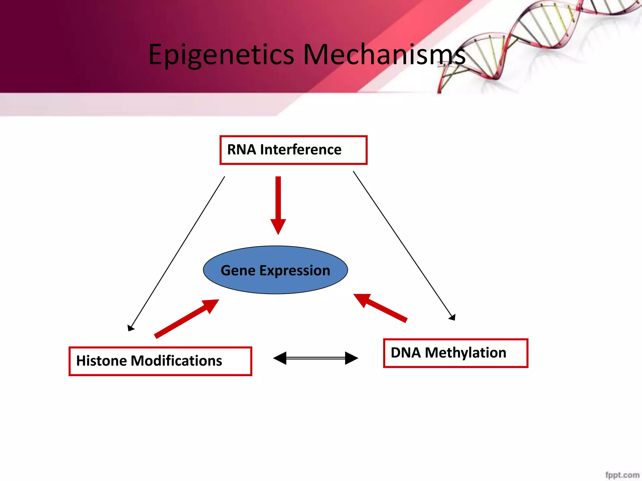 Epigenetic | PPTX