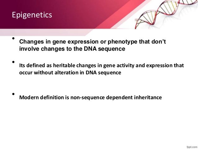Epigenetics Definition
