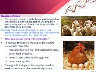 transgenics | PPTX