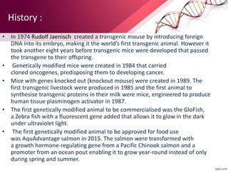 transgenics | PPT