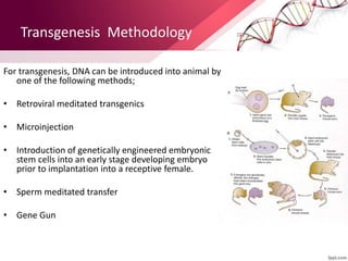 transgenics | PPTX