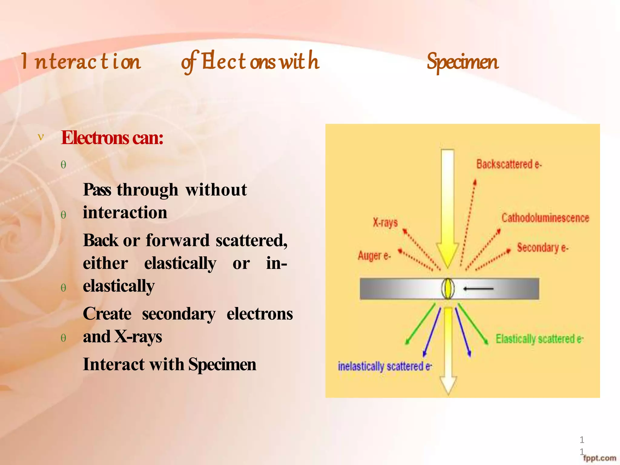 cryo electron microscopy | PPTX