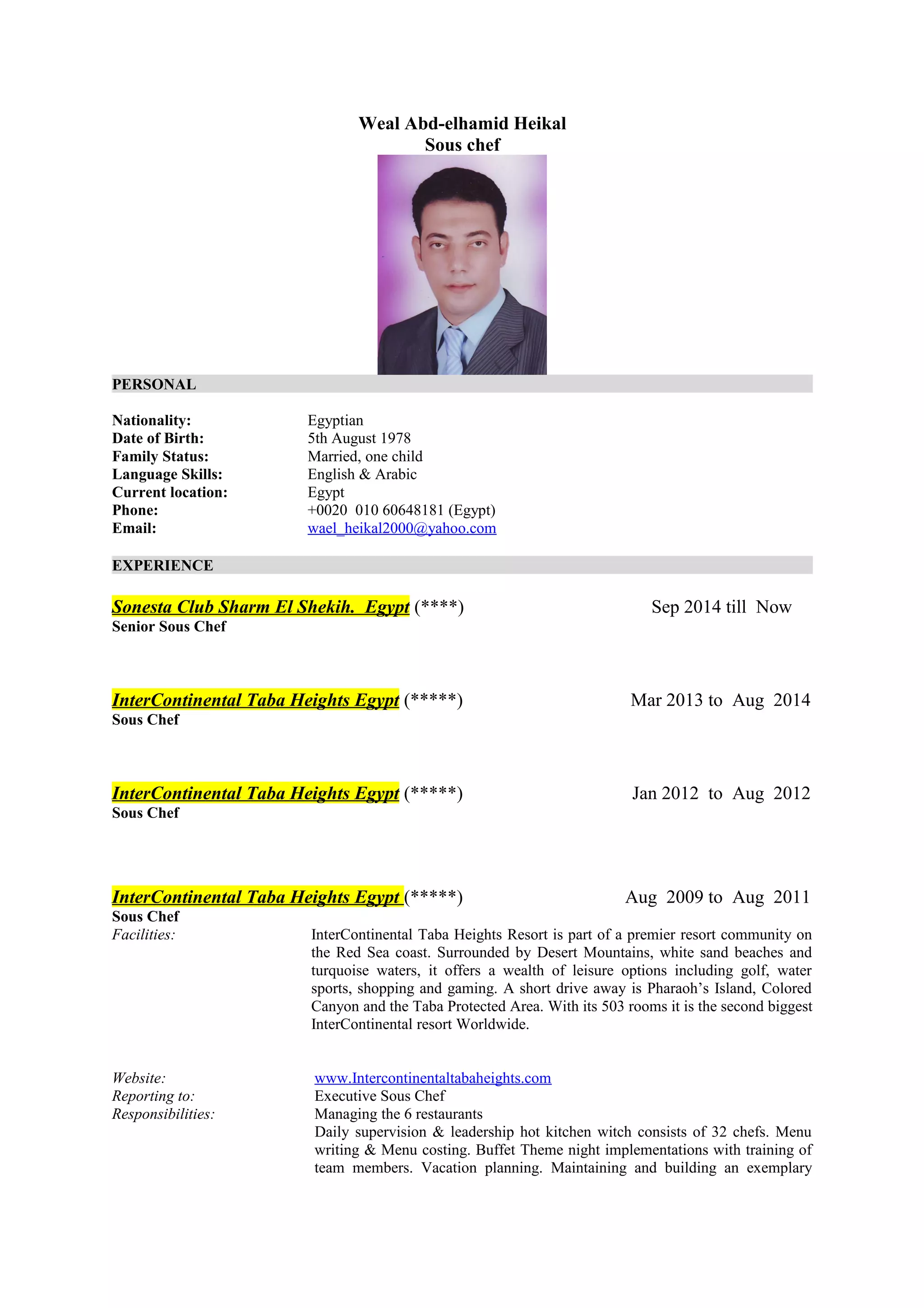 C V Wael Heikal | PDF