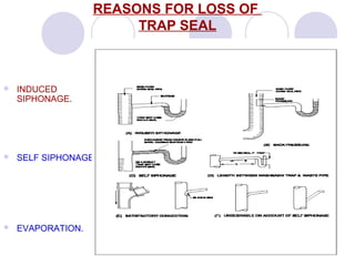 PIPE SYSTEMS1 | PPT