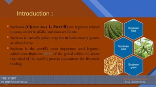 588397096-11-SOYBEAN-Ppt.pptx soybean s= | PPT