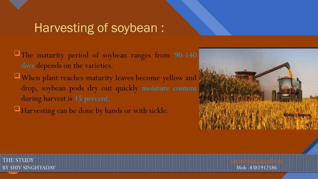 588397096-11-SOYBEAN-Ppt.pptx soybean s= | PPT
