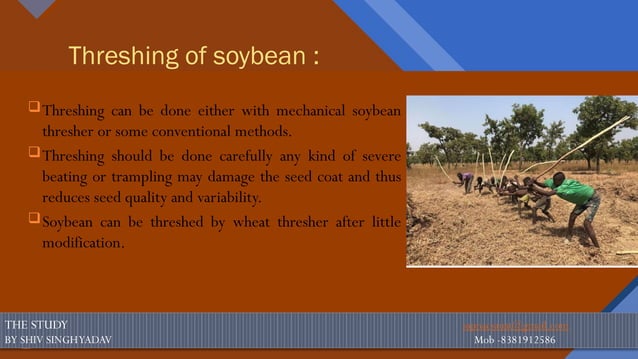 588397096-11-SOYBEAN-Ppt.pptx soybean s= | PPT