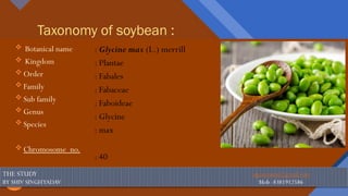 588397096-11-SOYBEAN-Ppt.pptx soybean s= | PPTX
