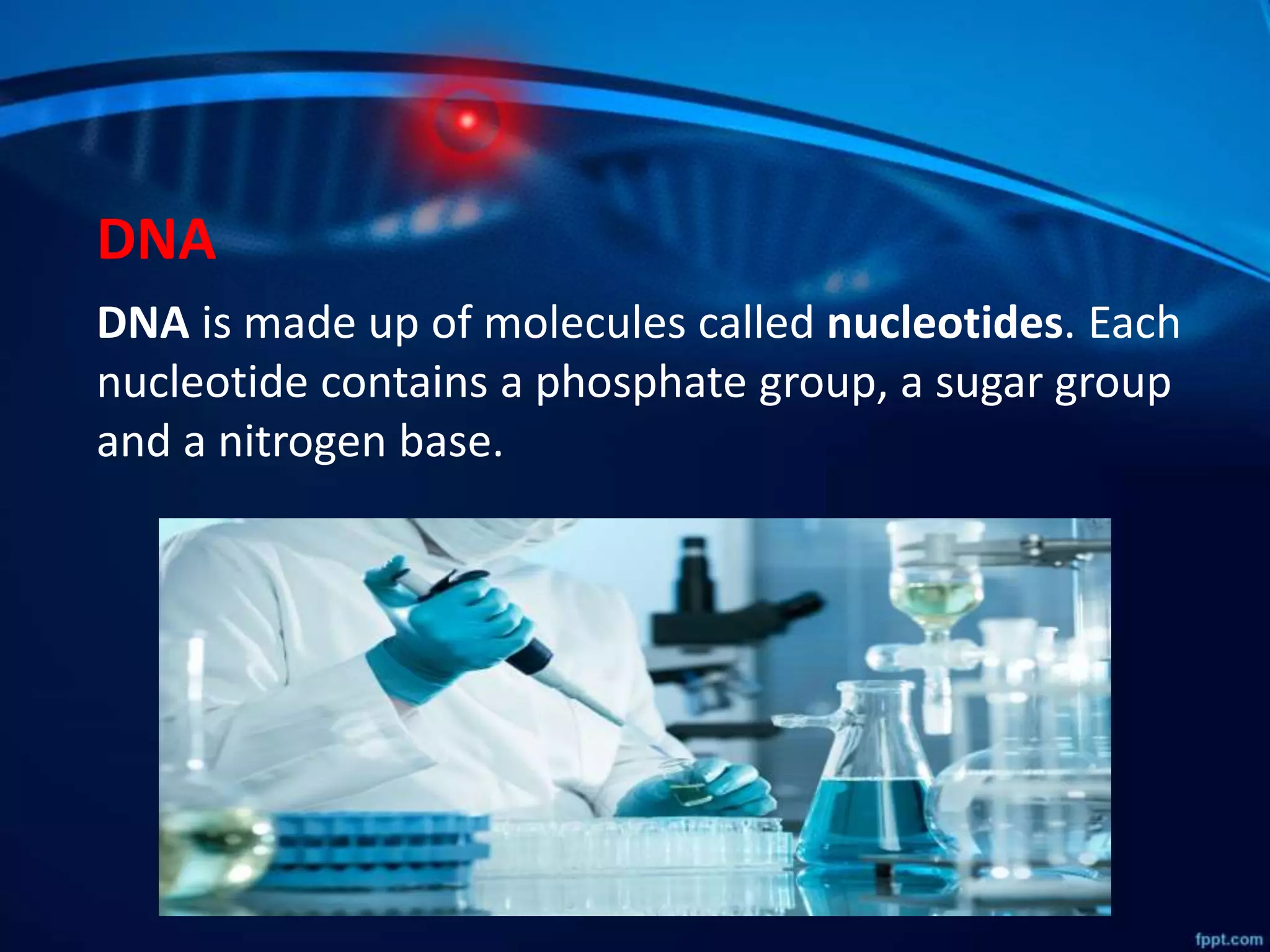 Structure Of DNA | PPT