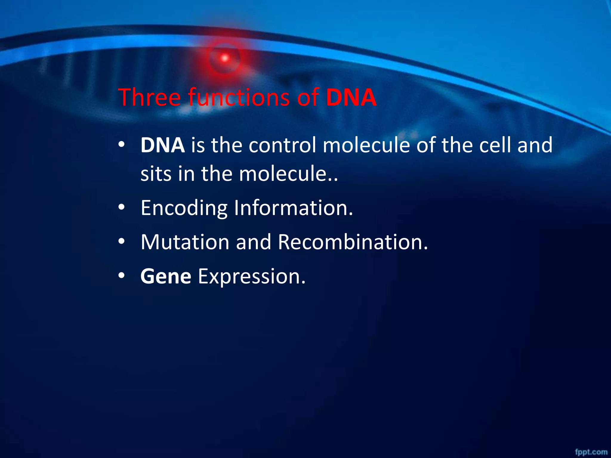 Structure Of DNA | PPT
