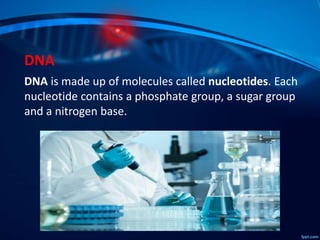 Structure Of DNA | PPT