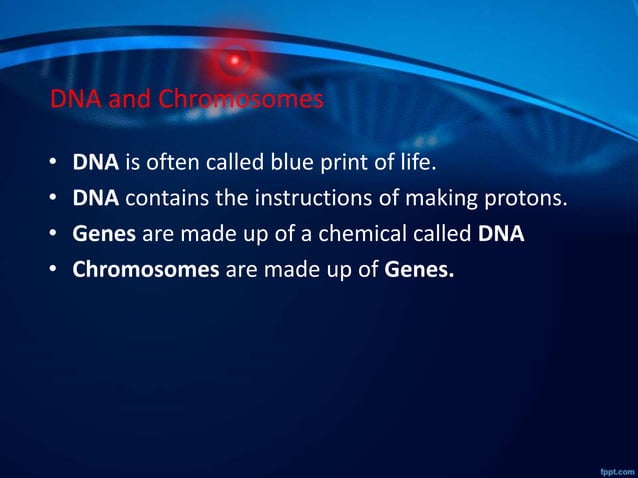 Structure Of DNA | PPT