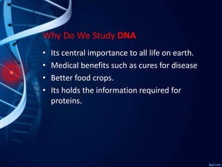 Structure Of DNA | PPT