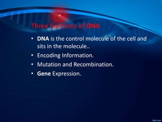 Structure Of DNA | PPT