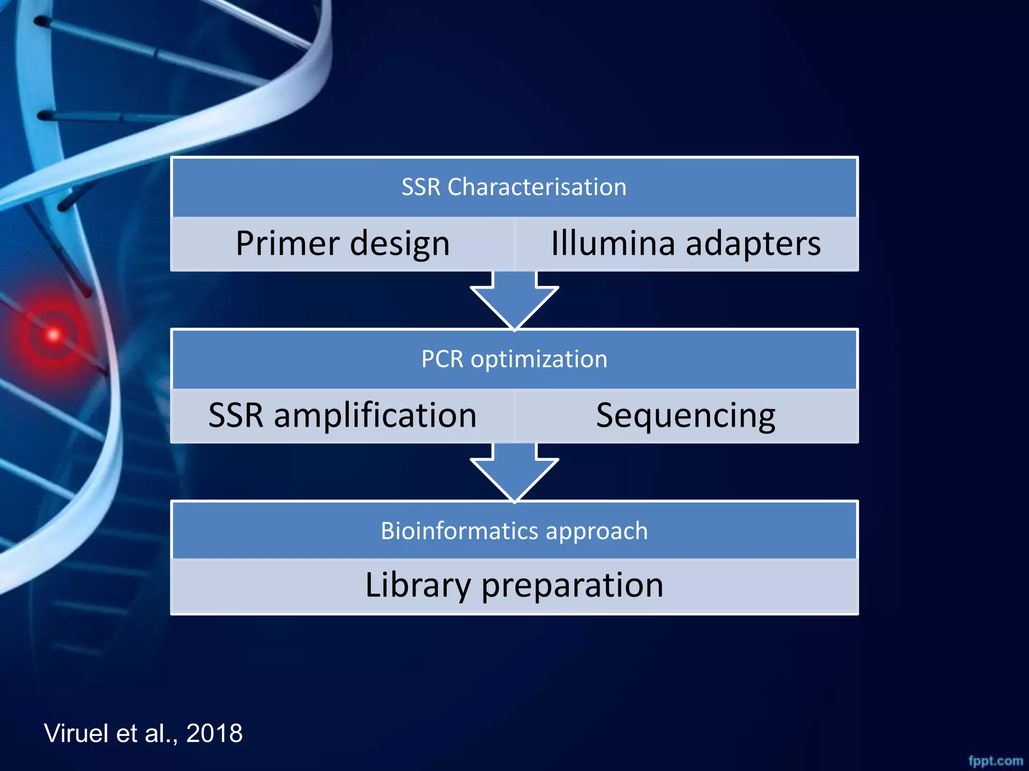 Mapping- Microsatellite Based Method | PPTX