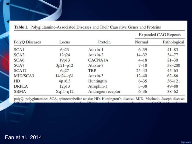 Mapping- Microsatellite Based Method | PPTX | Genetics | Science