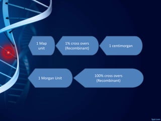 Mapping- Microsatellite Based Method | PPTX
