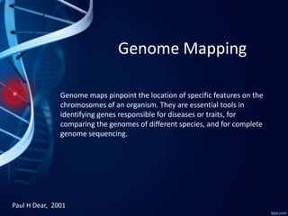 Mapping- Microsatellite Based Method | PPTX