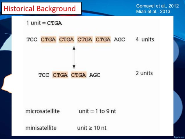 Mapping- Microsatellite Based Method | PPTX | Genetics | Science