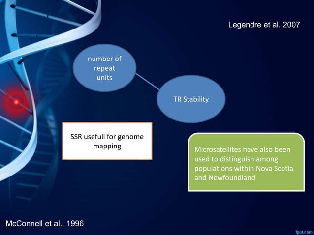 Mapping- Microsatellite Based Method | PPTX | Genetics | Science