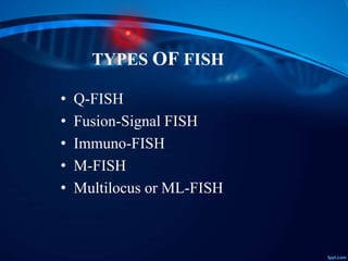 GENOMIC MAPPING:FISH(Fluorescent in situ hybridization ) | PPTX