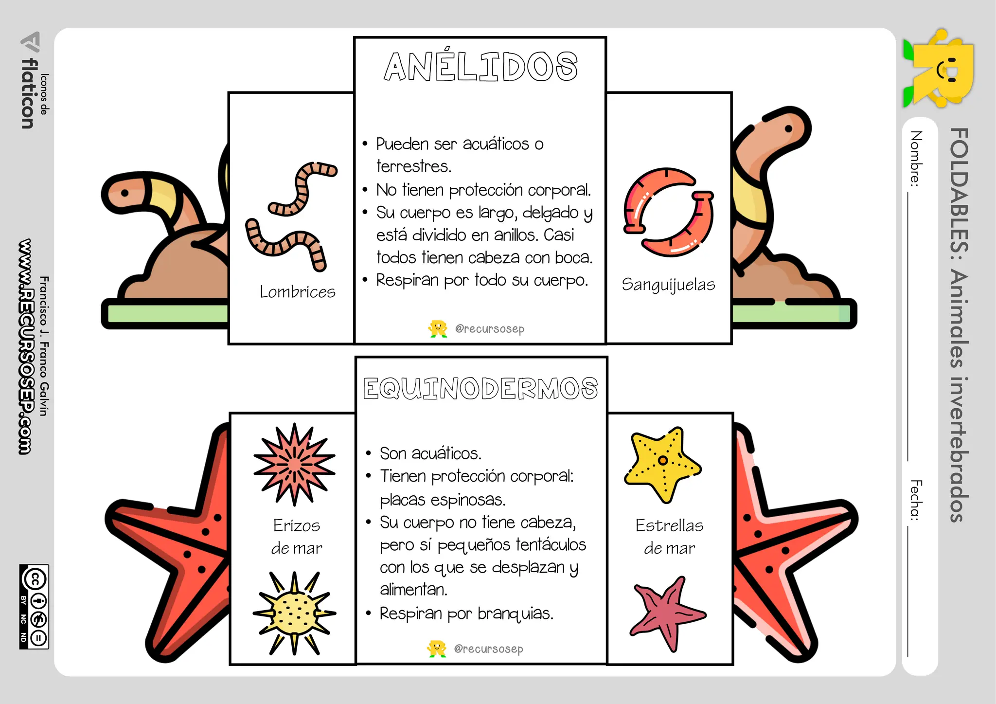589938998-animales-invertebrados-material-plegable-recursosep.pdf