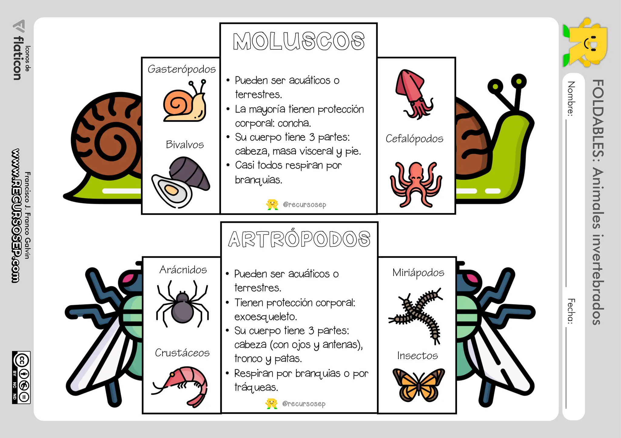 589938998-animales-invertebrados-material-plegable-recursosep.pdf