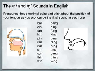 Copy of the /n/, /ŋ/ and /ŋg/ sounds in english | PPTX